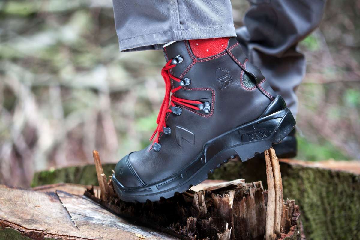 Grube Forst-Fundgrube - Großer Sale | Grube AT